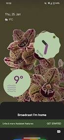 How to broadcast messages on a Google Nest smart speaker or display