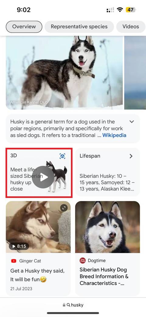 Google 3D animals: 110+ AR critters, dinosaurs, and more