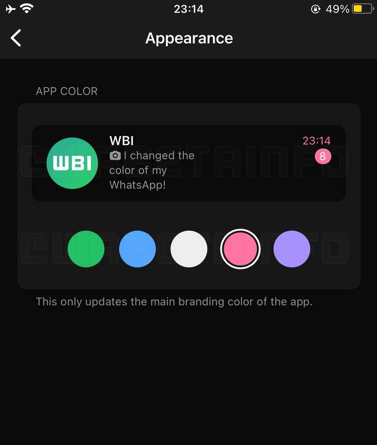 WhatsApp could soon let you ditch its green theme