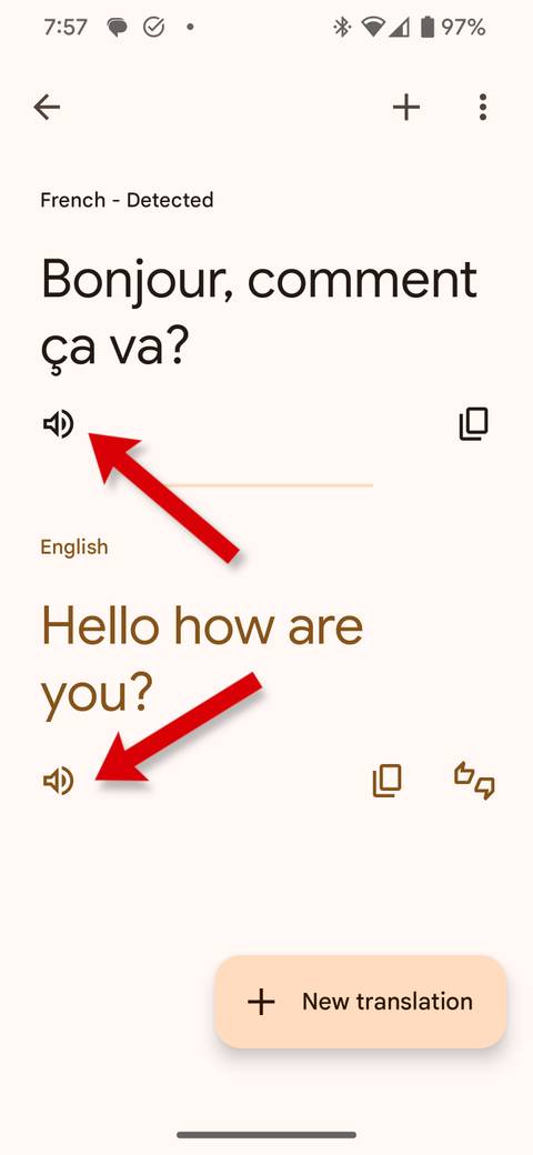 Google Translate: How to use the language detection feature
