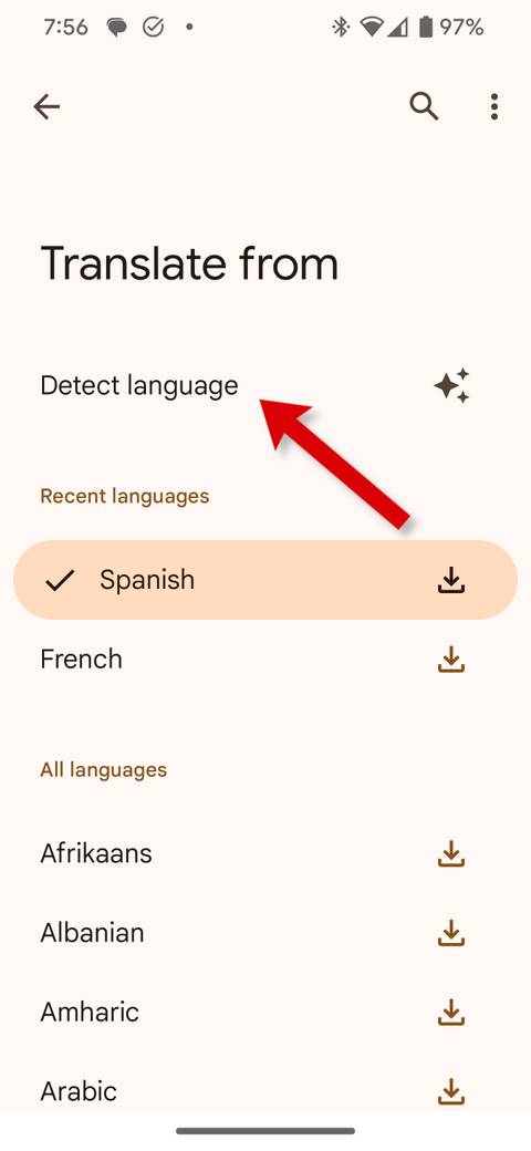 Google Translate: How to use the language detection feature