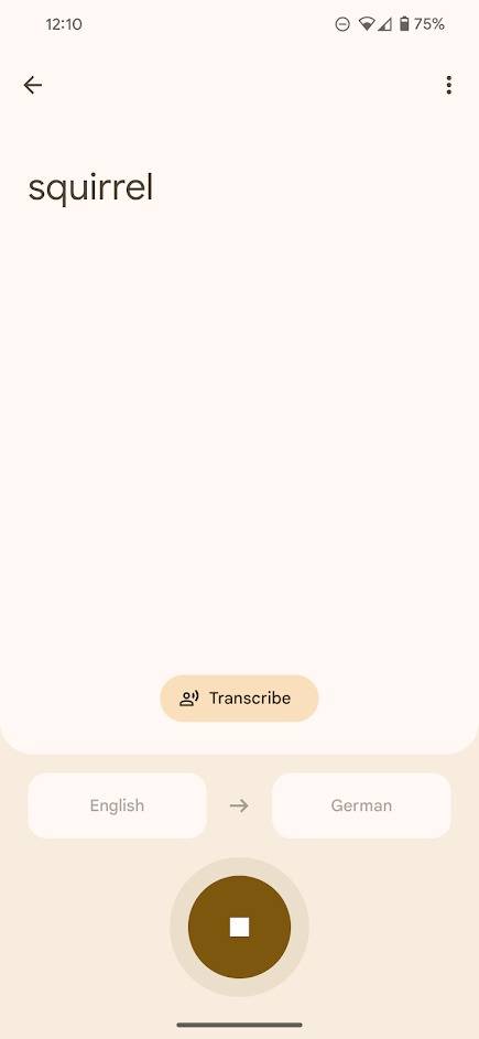 Google Translate: How to translate or transcribe voice to text