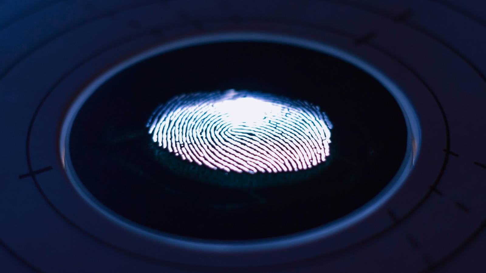 How your phone's fingerprint sensor works