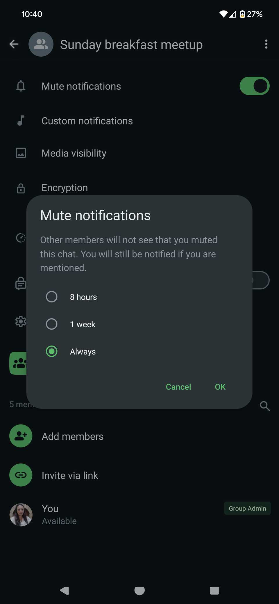 How to mute group messages in Google Messages, iMessage, and WhatsApp