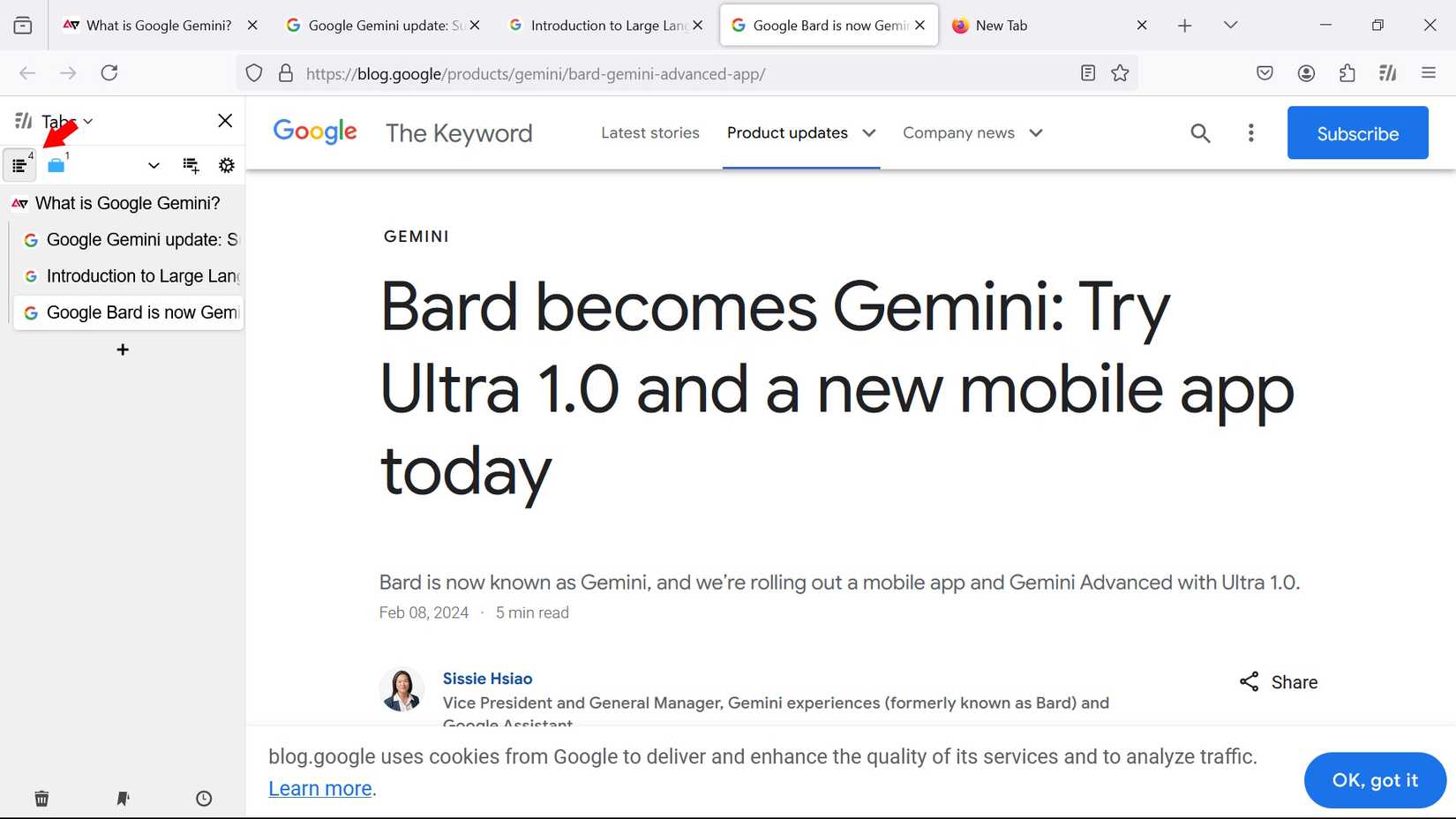 Mozilla Firefox: How to use and add group tabs in the web browser