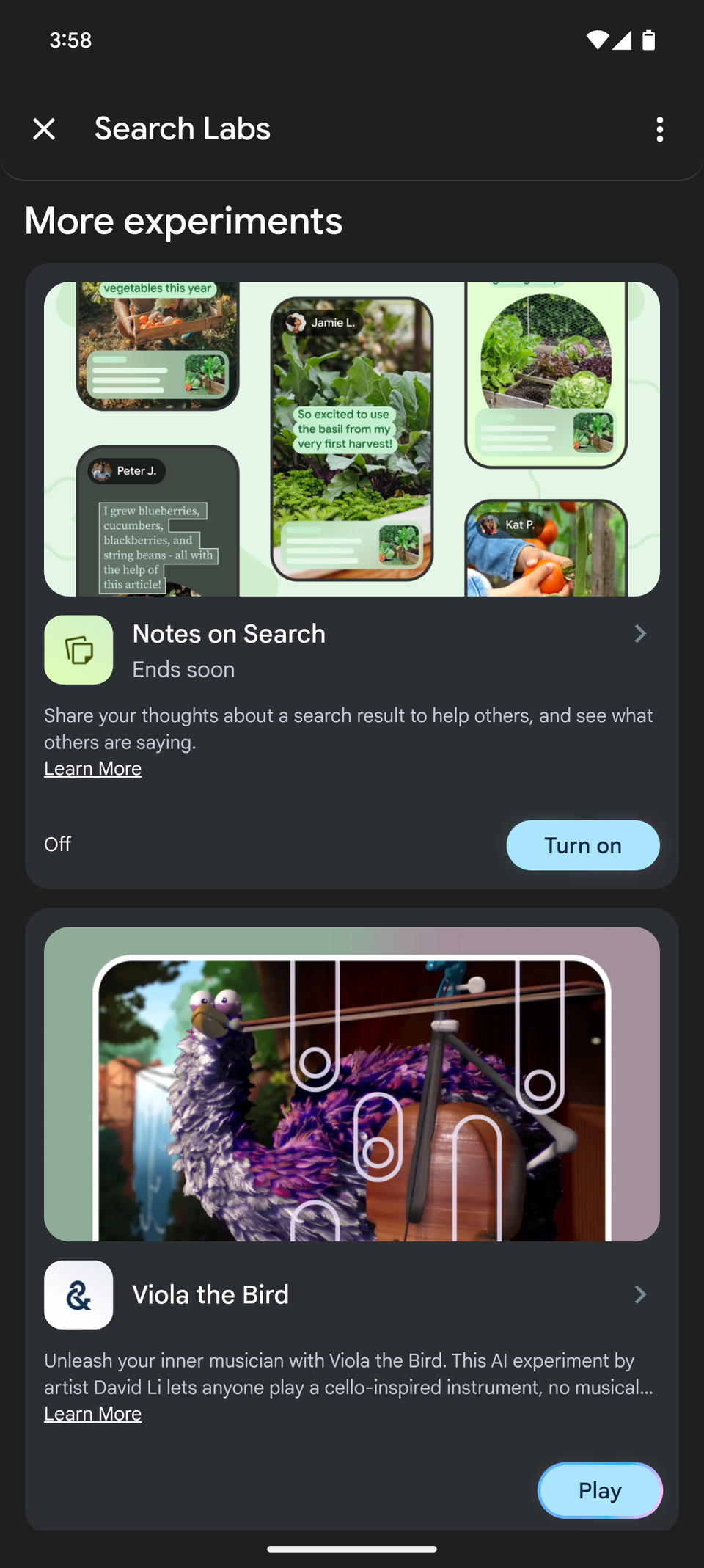 Try out Notes in Google Search while you still can