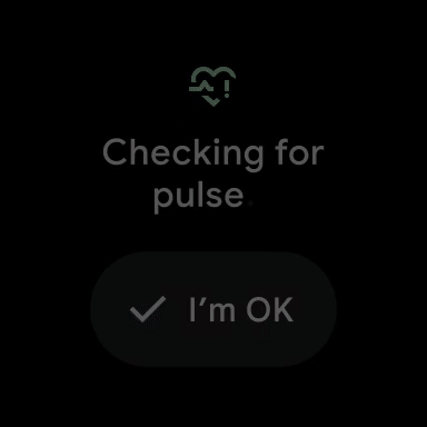 Google Pixel Watch 3: What is the loss of pulse feature and how does it ...