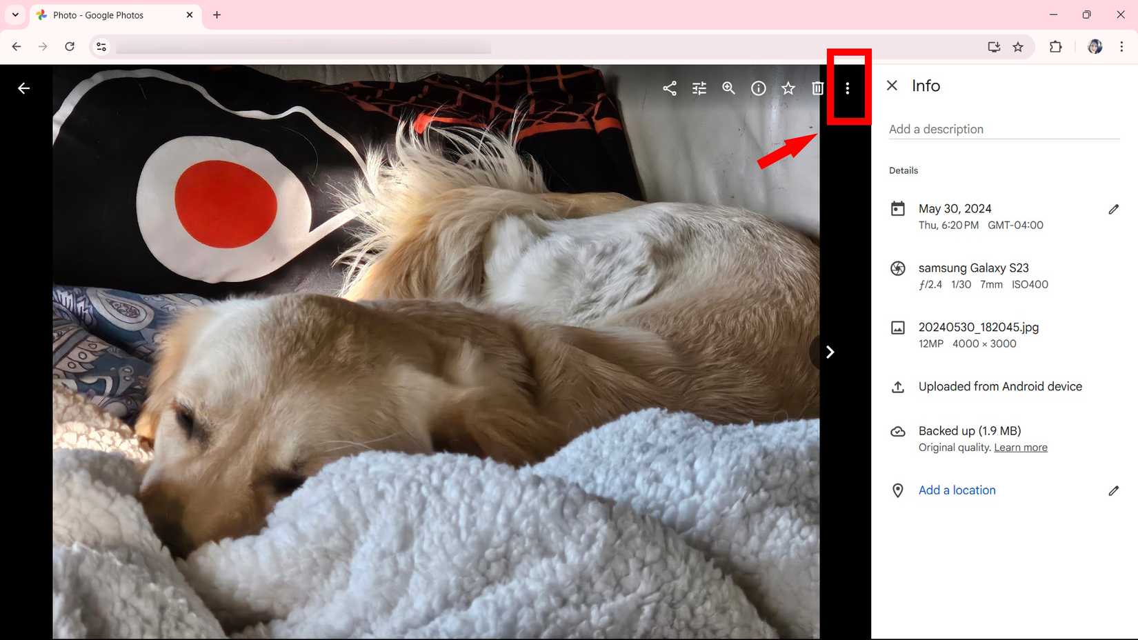Google Photos: How to set up an archive collection