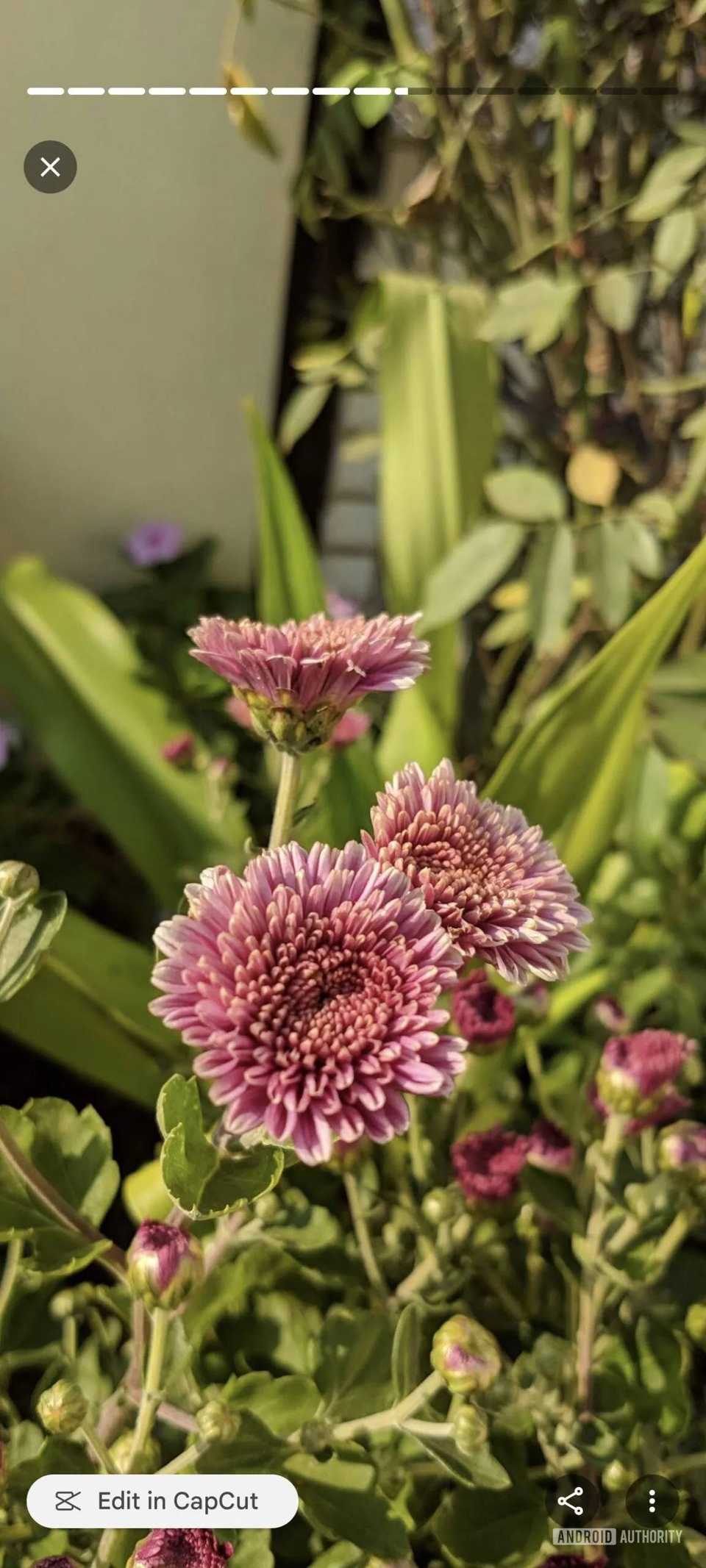 Google Photos spotted testing a highly unusual app integration