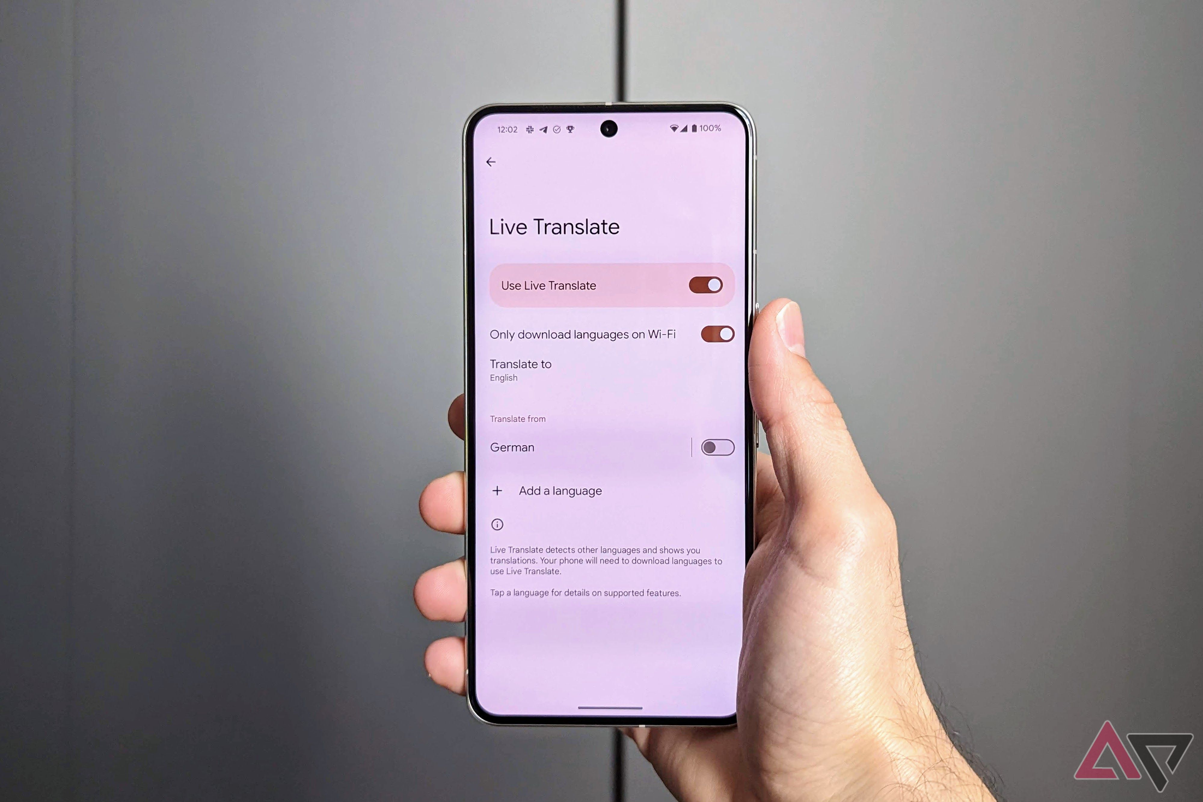Google Translate: How to use the language detection feature
