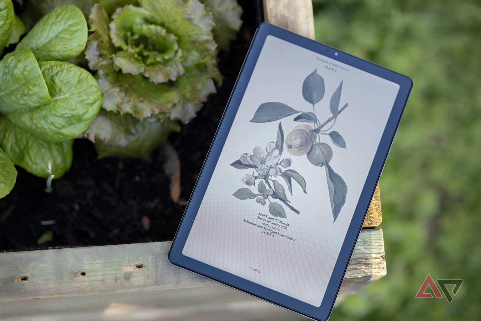 Nook 9-inch Lenovo Tablet review: Not over, not under, just achieving