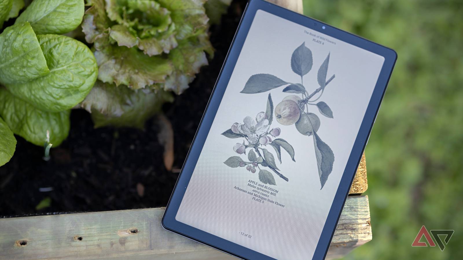 All Nook tablets and e-readers are currently on sale for $20 off