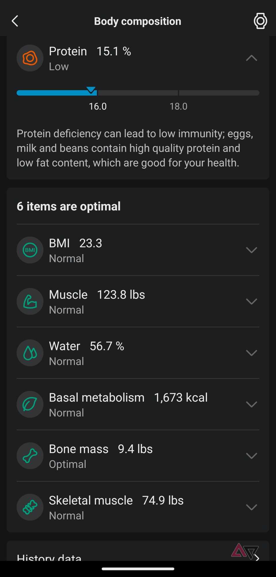 Amazfit Balance review: An excellent fitness smartwatch with an AI gimmick