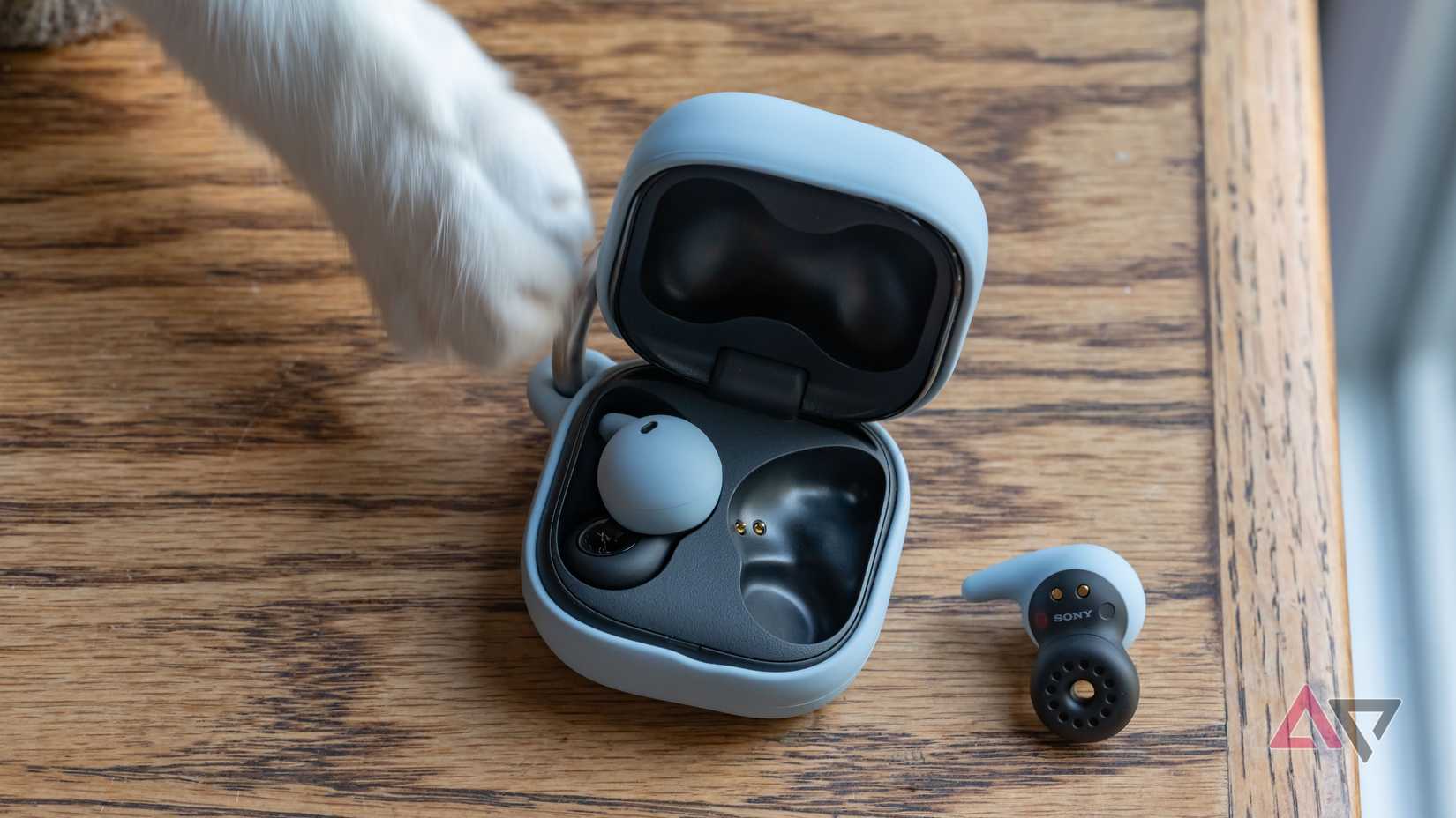 Sony LinkBuds Open review: A potential pain in the ear