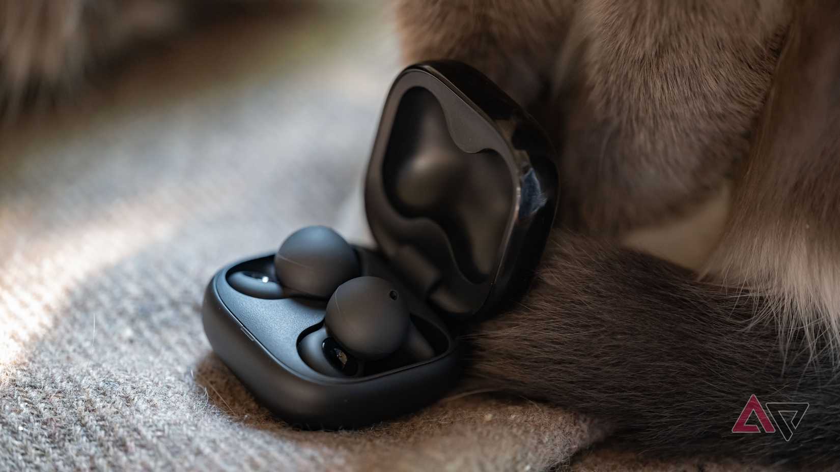 Sony LinkBuds Open review: A potential pain in the ear