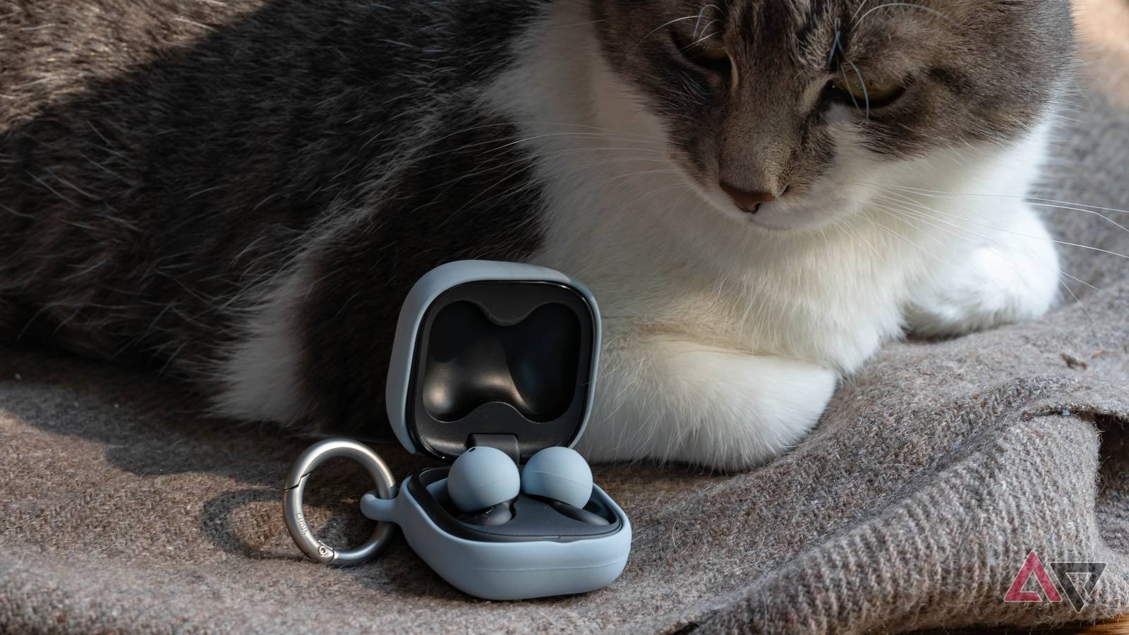 Sony LinkBuds Open review: A potential pain in the ear