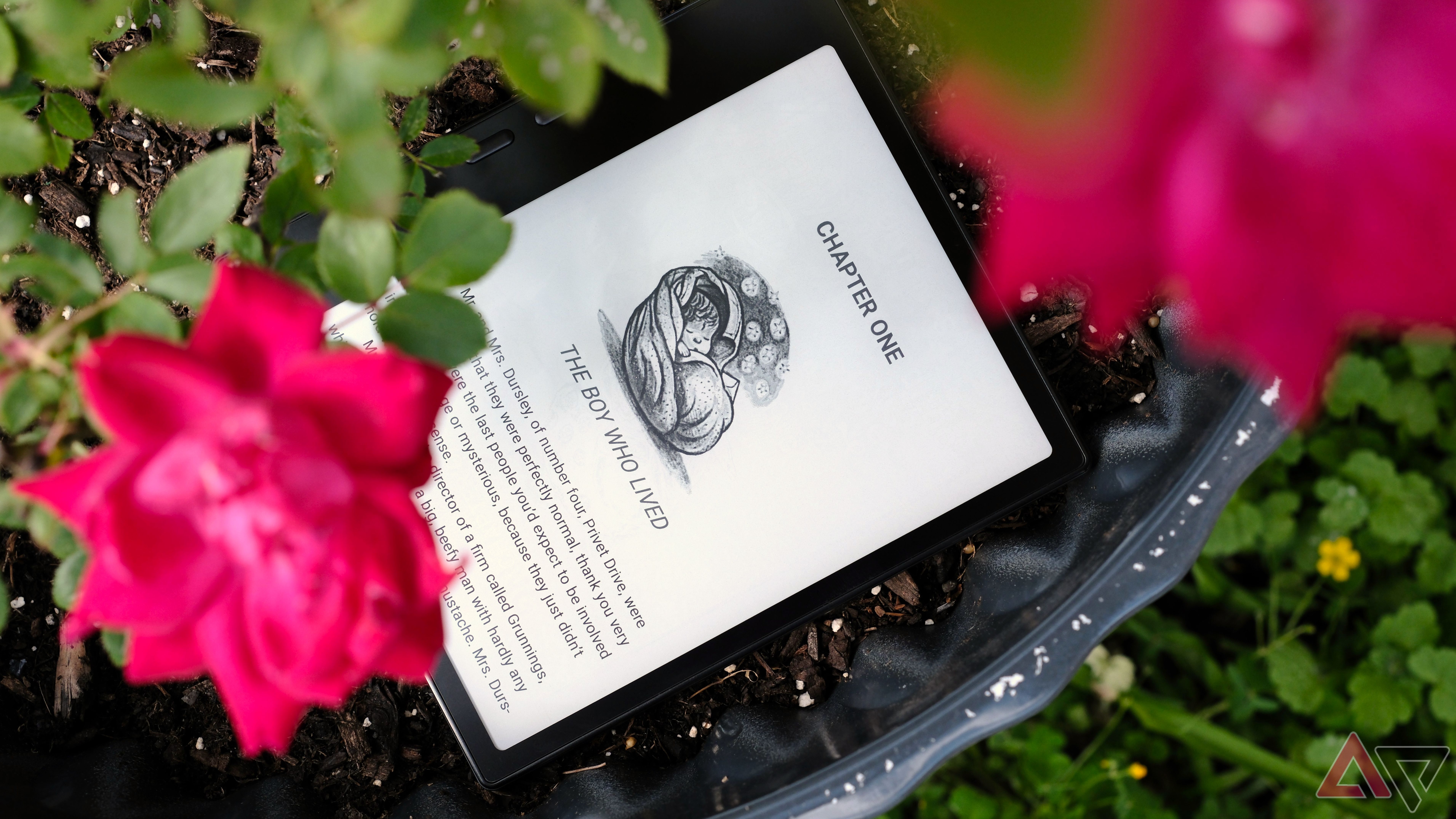 The Boox Palma 2 Pro is a brilliant but unnecessarily complex e-reader