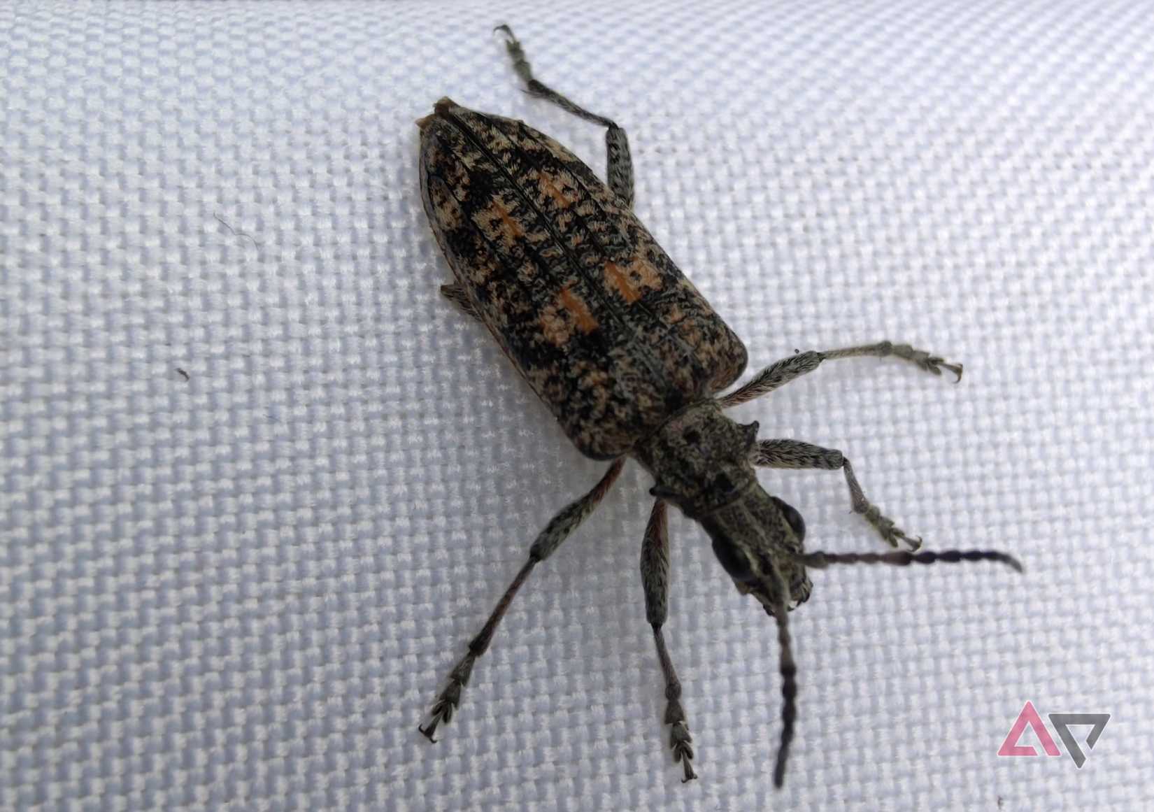 A weird Google Maps glitch drove holiday traffic to the brink for hours