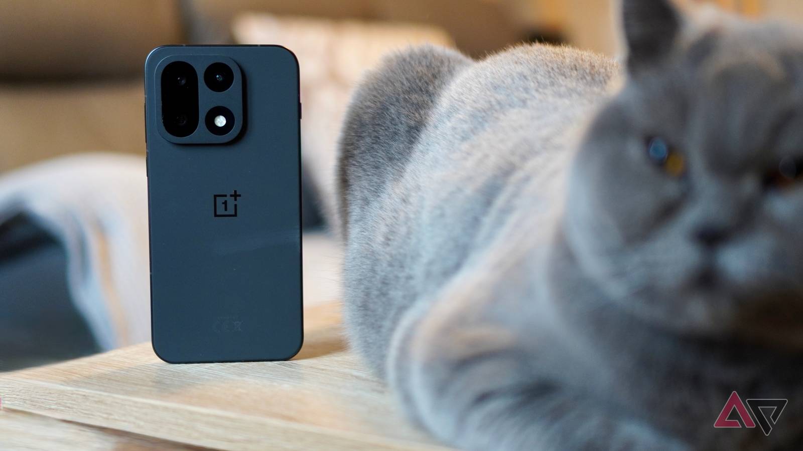 OnePlus 15 could end Samsung's stranglehold, but only if you let it