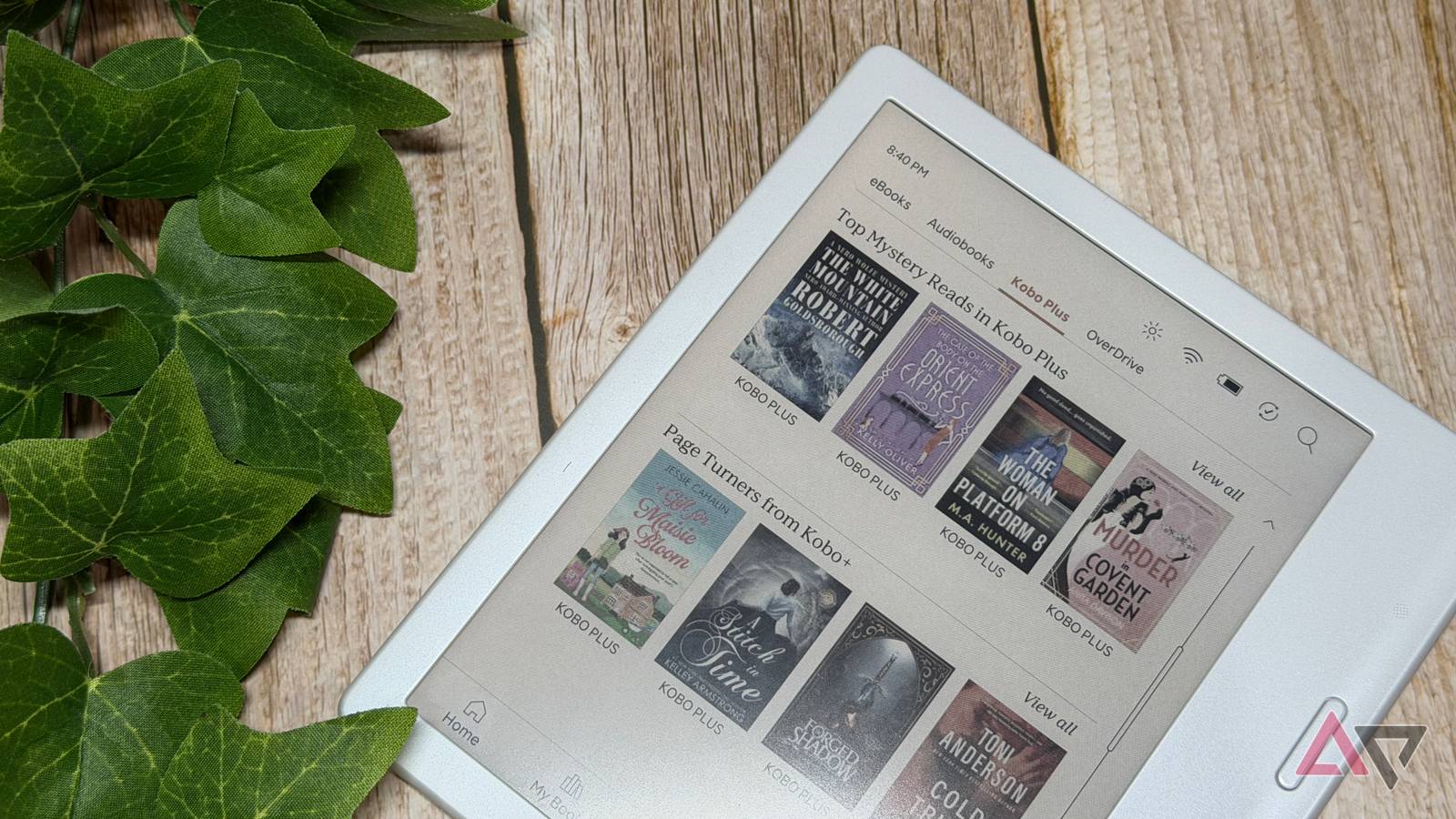 Here's what I'm excited to read on Kobo Plus in February
