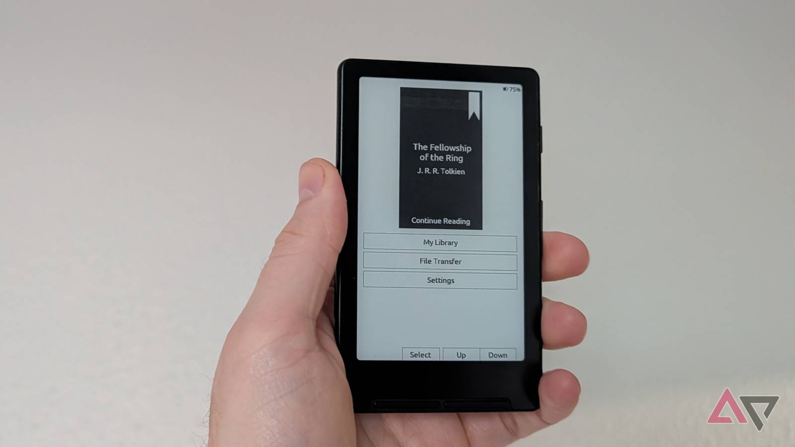 This tiny e-reader is smashing sales numbers, beating Amazon's Kindles